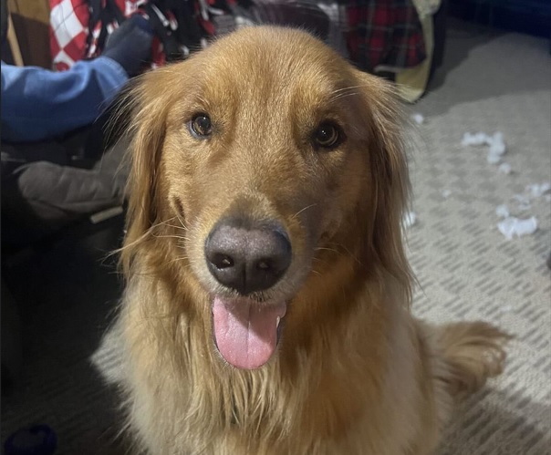 Pure fluff - David Michael Williams